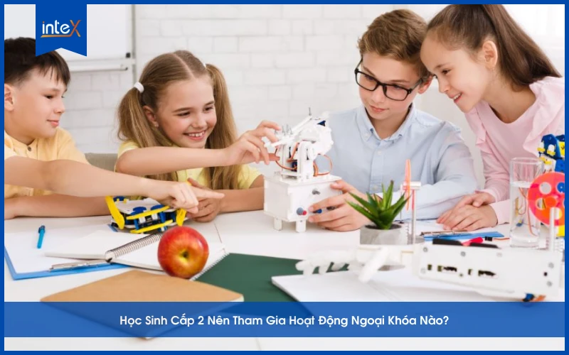 Học Sinh Cấp 2 Nên Tham Gia Hoạt Động Ngoại Khóa Nào?